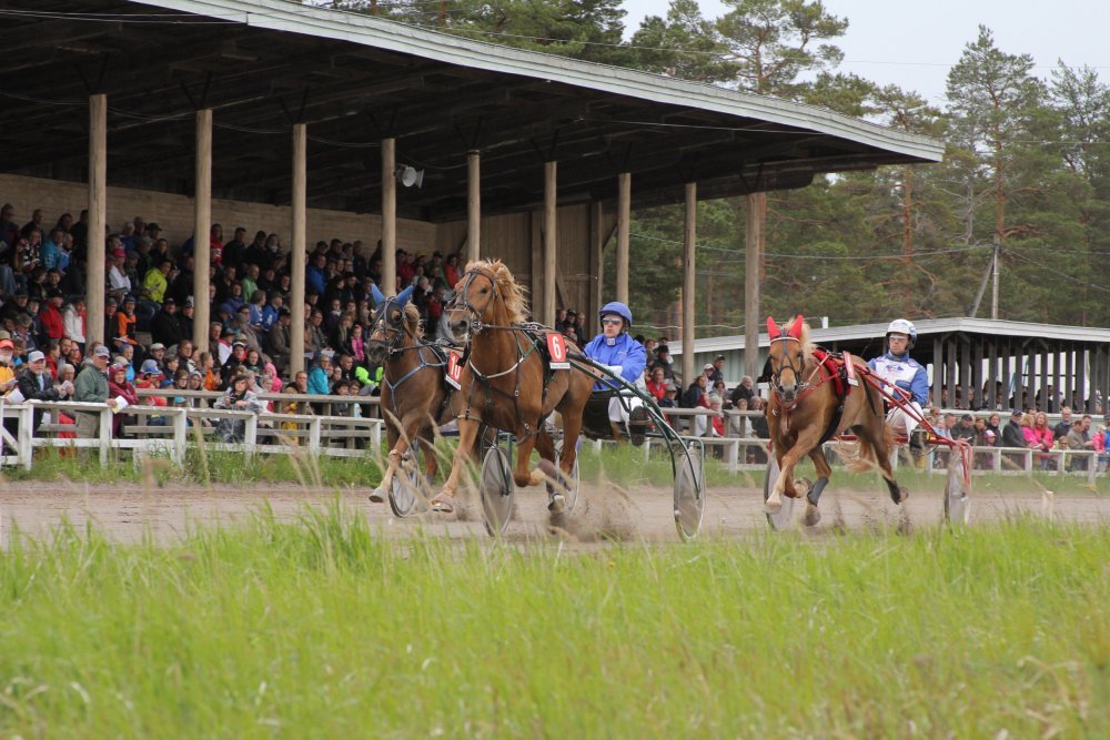 Harjoituslähdöt: Kokemäen ravirata – Sataravi Oy, Kokemäki - Sataravi Oy